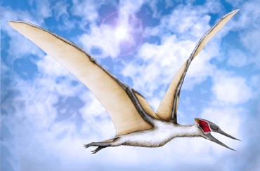 Dinopedia Creates a Park Builder- Pteranodontia 2 | Fandom