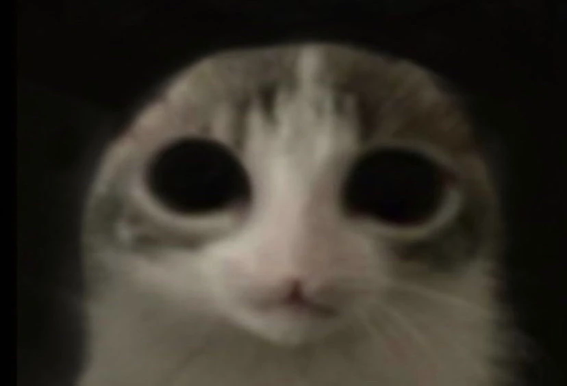 Tell me best mosin setup.. | Fandom