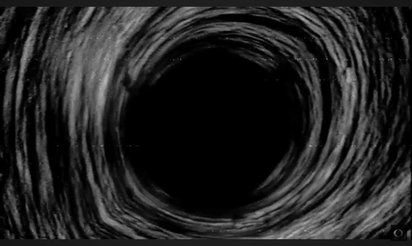 Possible gold XD's phase 201 origin | Fandom