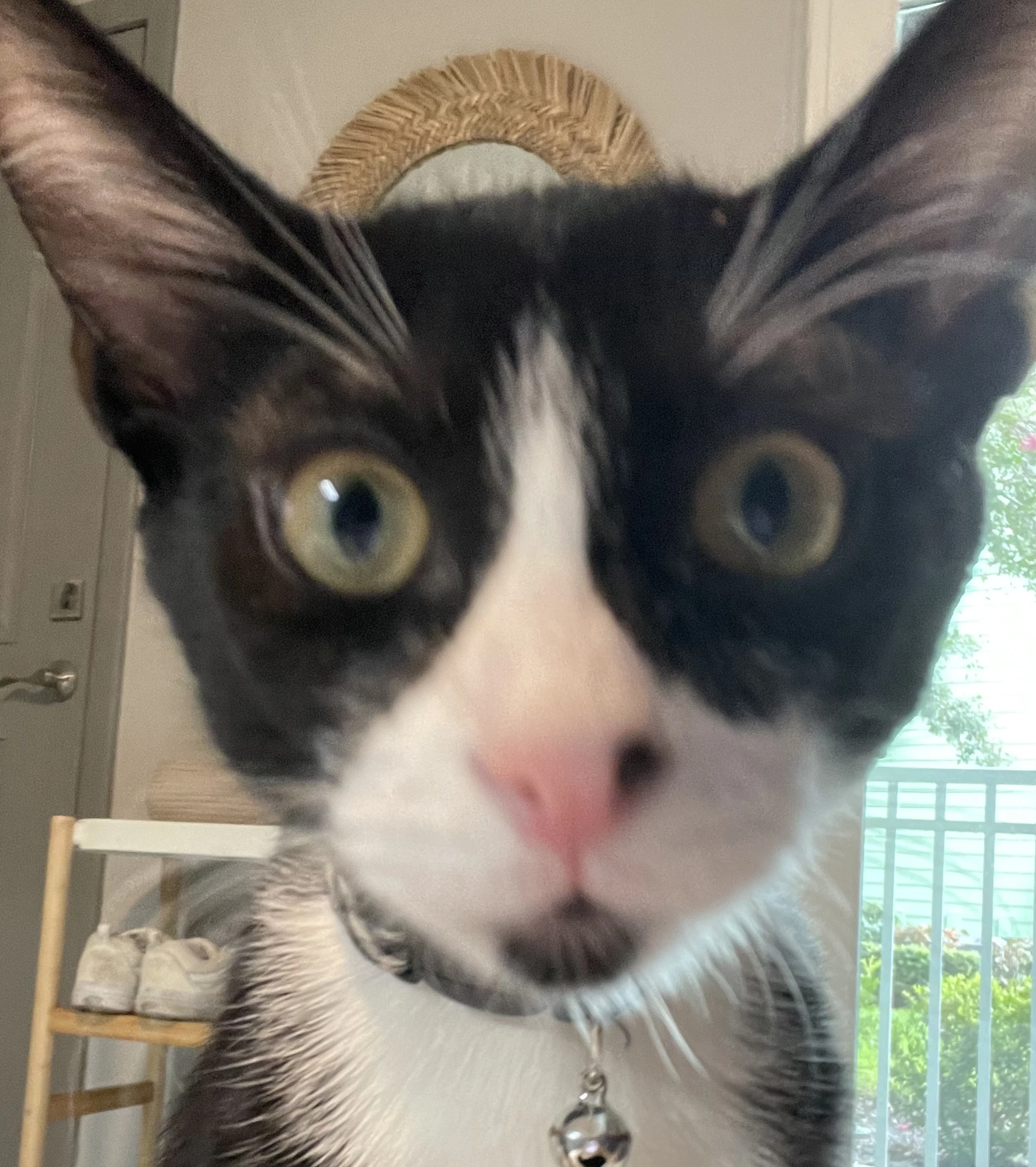 Witch Circe | Fandom