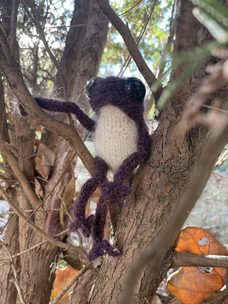 Froggy photo shoot with Eden!! | Fandom