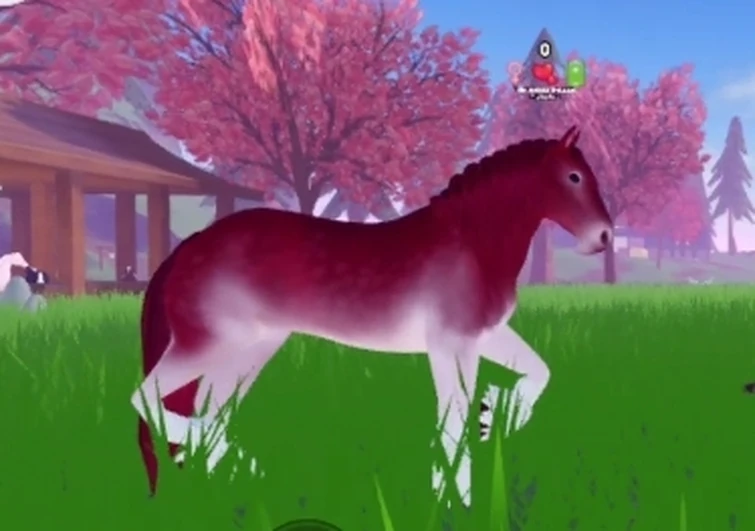 Burgundy Dapple Clyde | Fandom