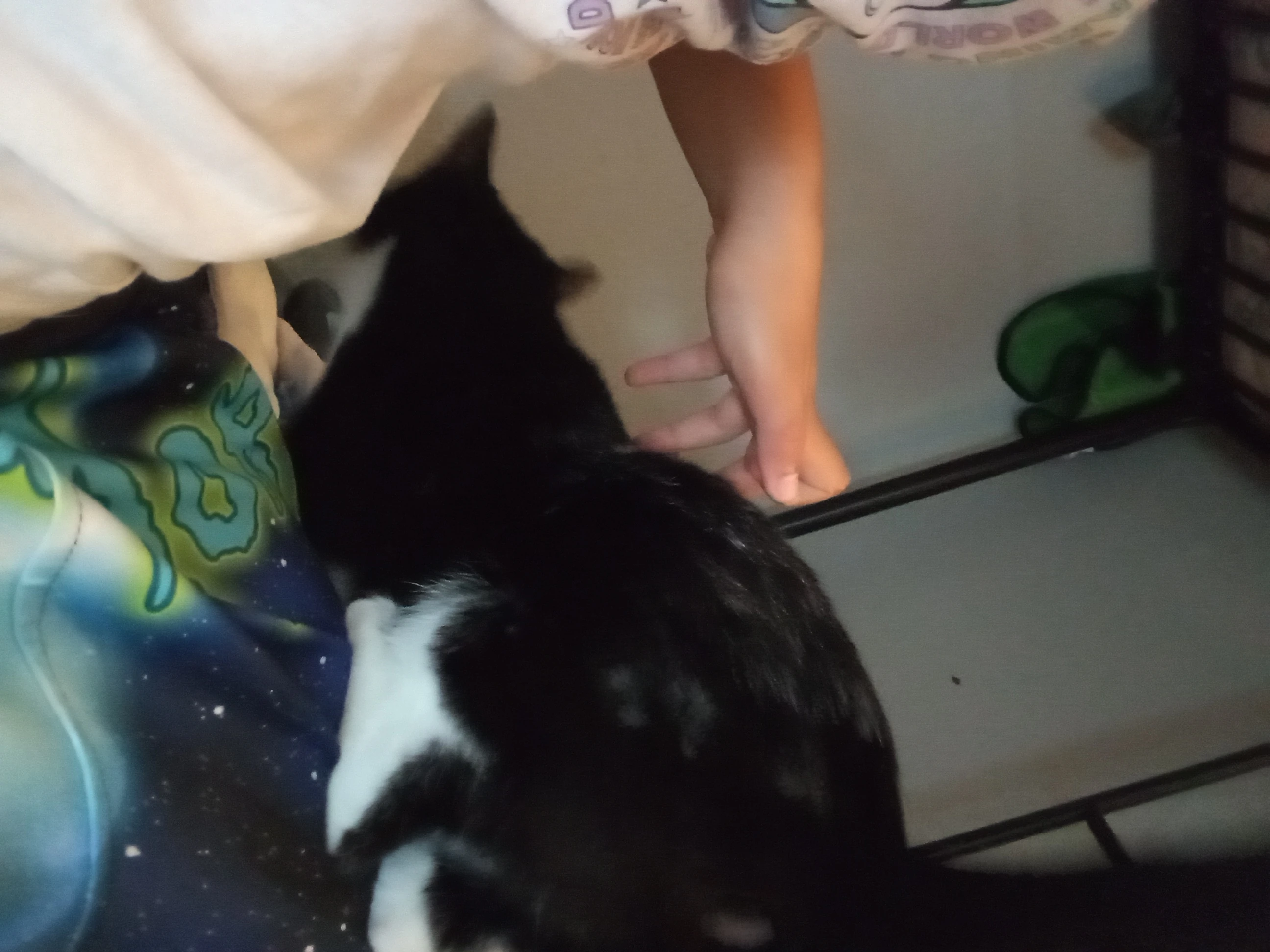 Night guys!!!! | Fandom