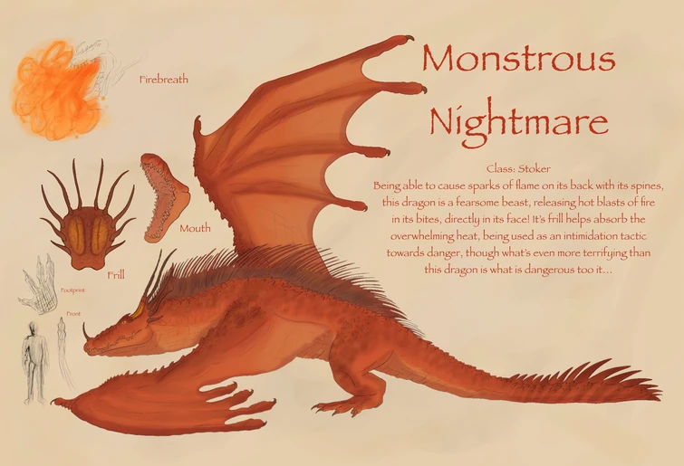 “Realistic” HTTYD Redesigns | Fandom