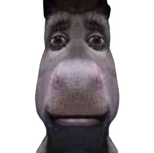 Pointless Suggestions | Fandom