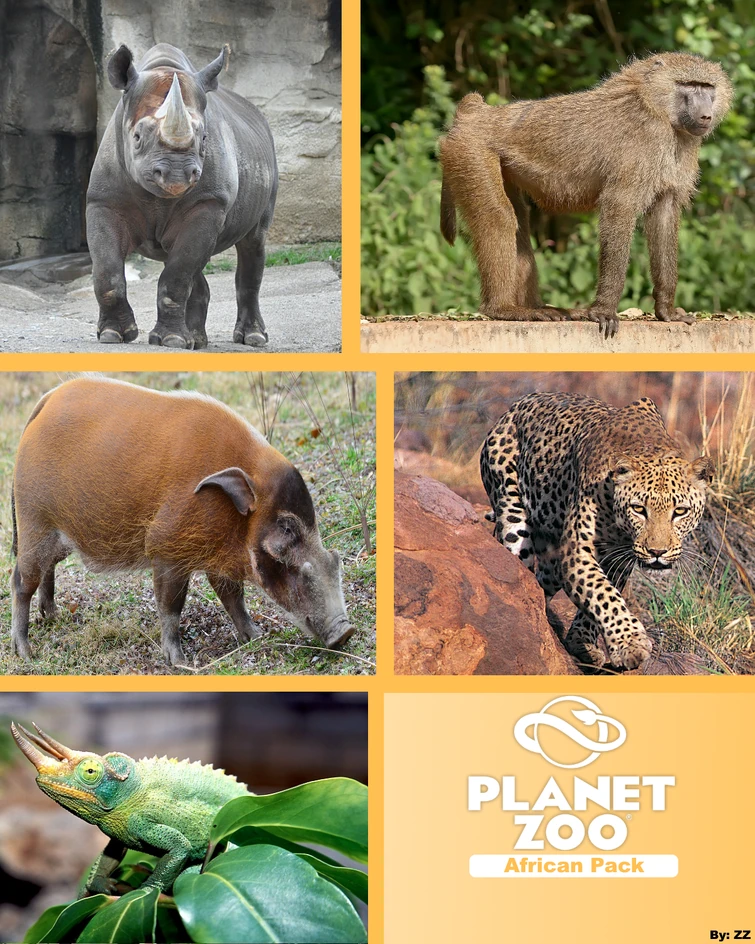 African Pack | Fandom