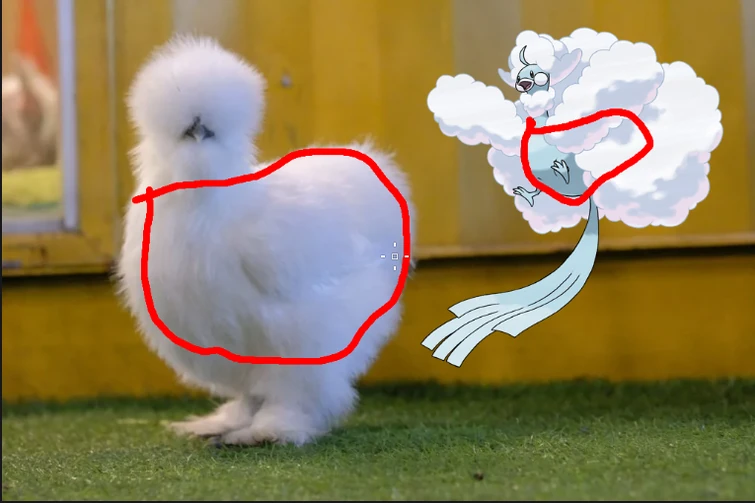 Real life altaria! | Fandom