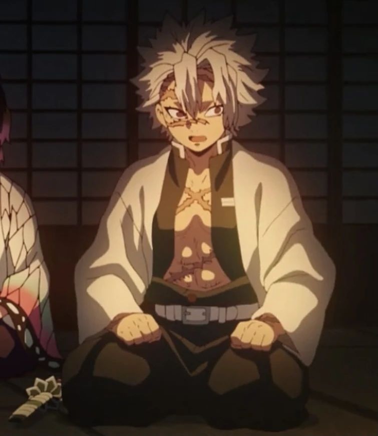 Me casually watching the Hashira Meeting for the 6th time | Fandom