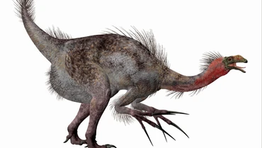 Who will win ?? | Fandom