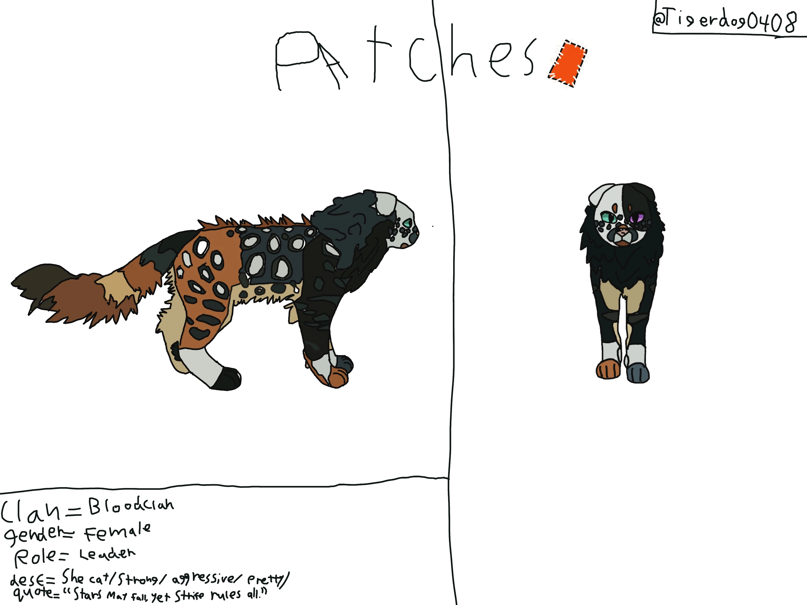 My warriors OC, | Fandom