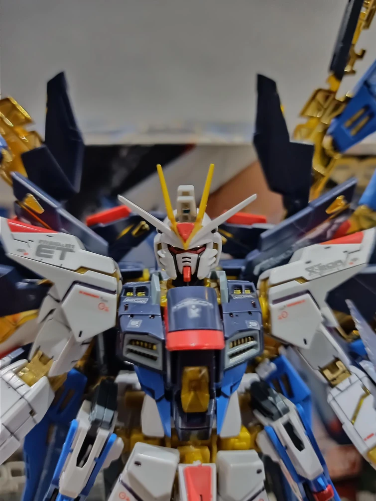 Strike Freedom | Fandom