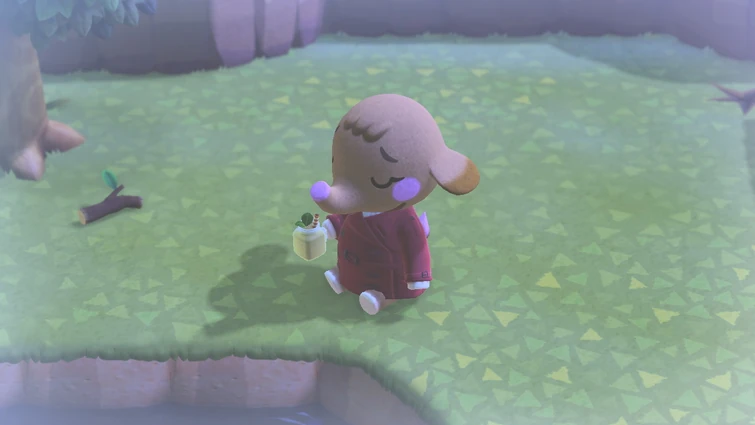 Discuss Everything About Animal Crossing Wiki | Fandom