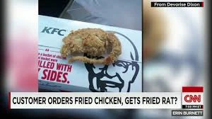 Is this rat got cooked into a fried rat | Fandom