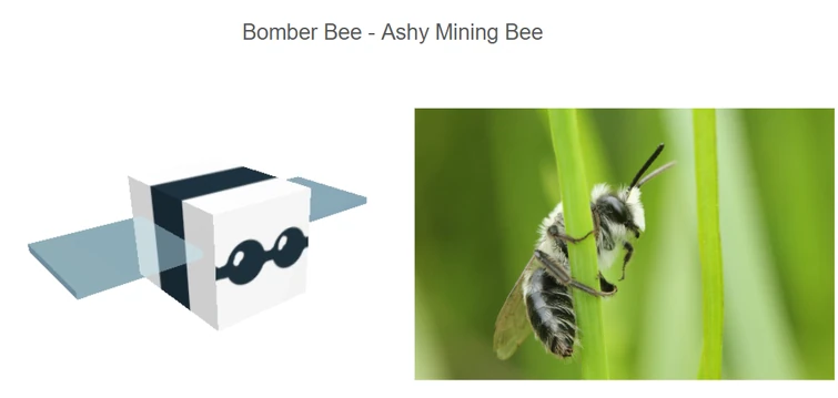 BSS Bees and their irl counterparts! Rares :) | Fandom