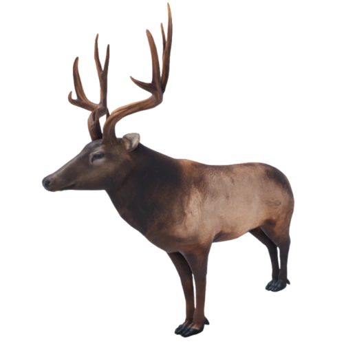 Ray | 7 Days To Live (Roblox) Wiki | Fandom
