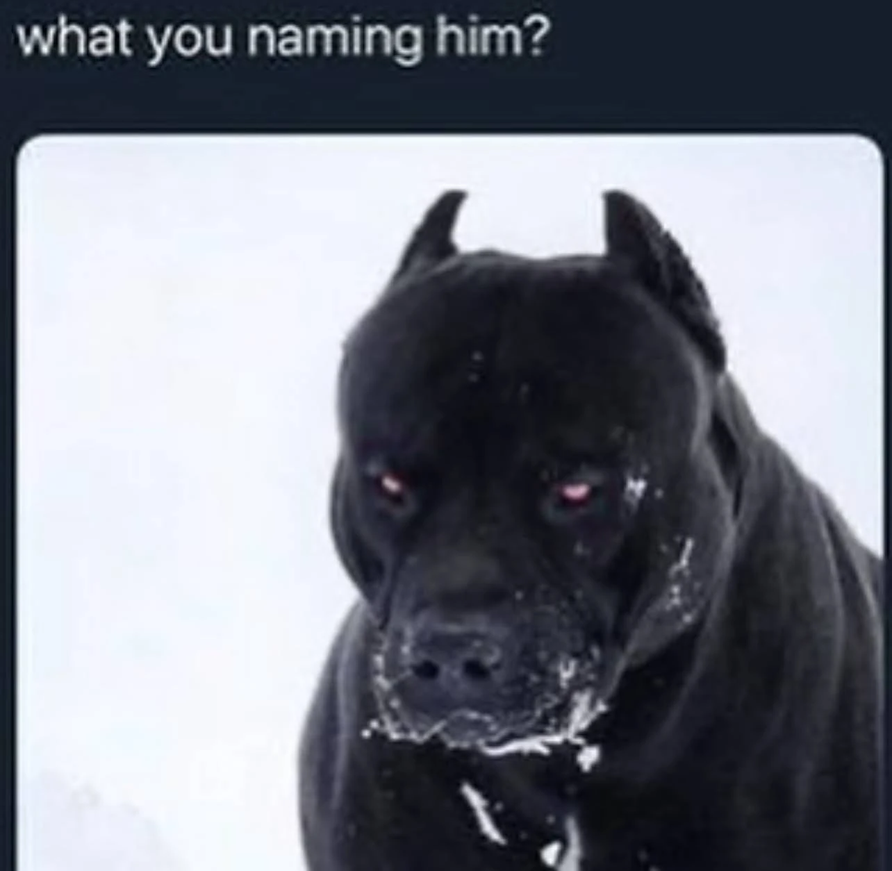 Out of context memes | Fandom