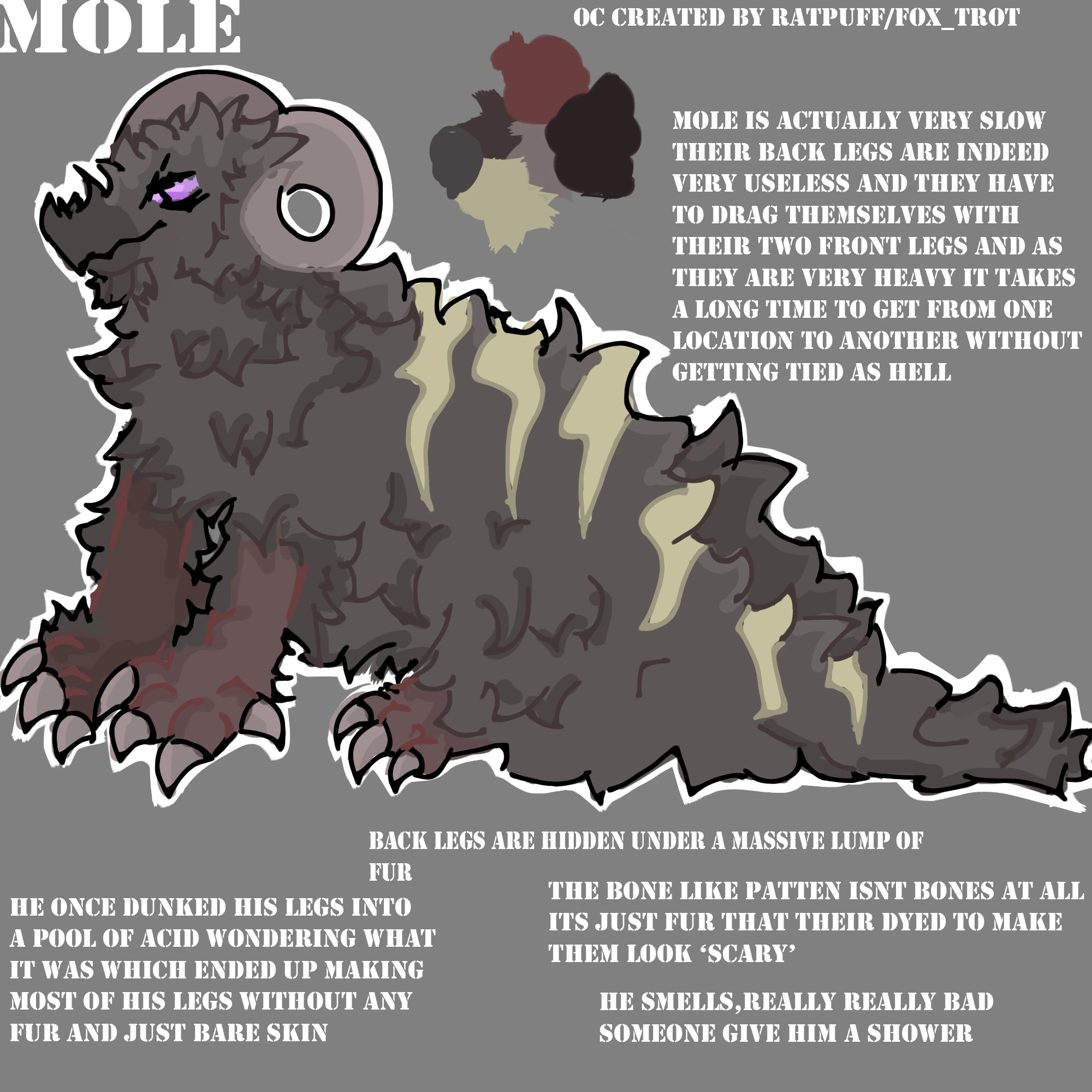 Mole | Fandom