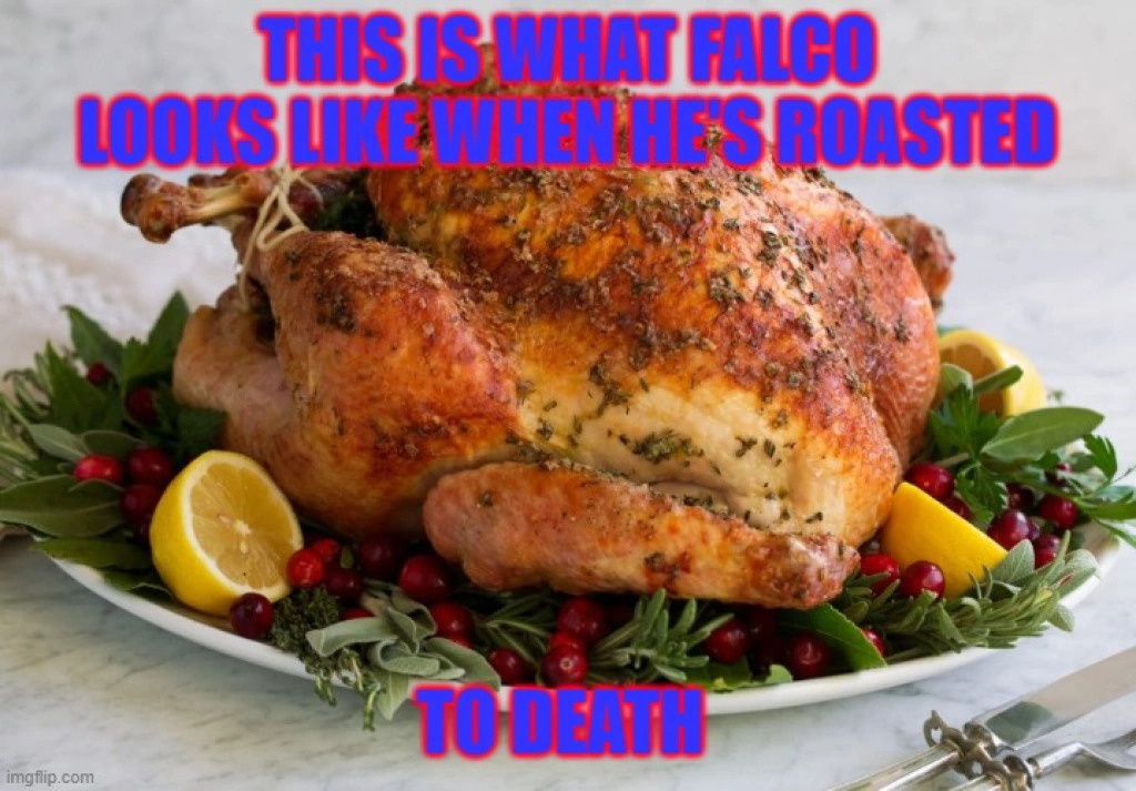 This is what Falco looks like when he's roasted to DEATH | Fandom