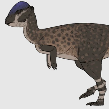 Discuss Everything About Dinopedia | Fandom