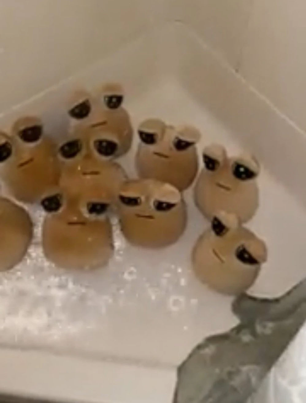 Sad pou my beloved | Fandom