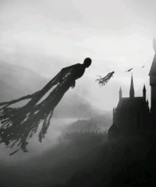 I Dissennatori | Fandom