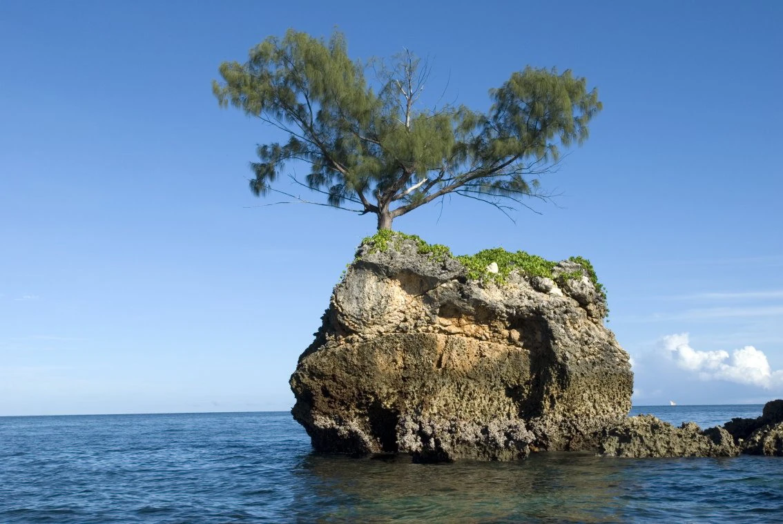 Exile Island | 703 ORG Network Wiki | Fandom