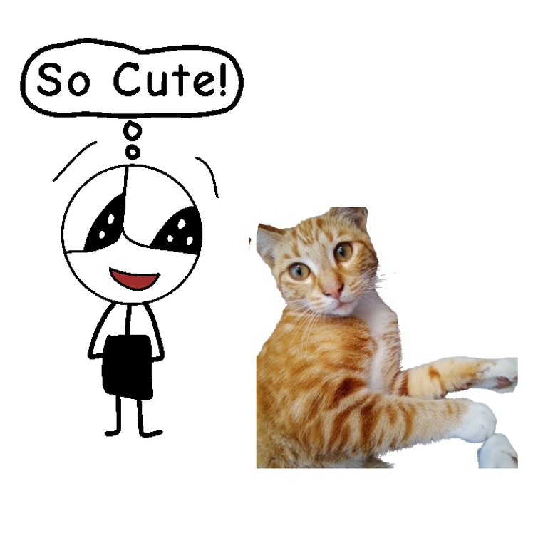 Quare finds a kitten "Soni" | Fandom