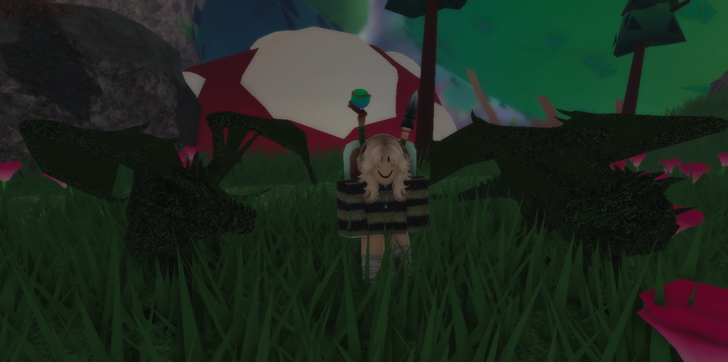 Birthday Competition!! | Fandom