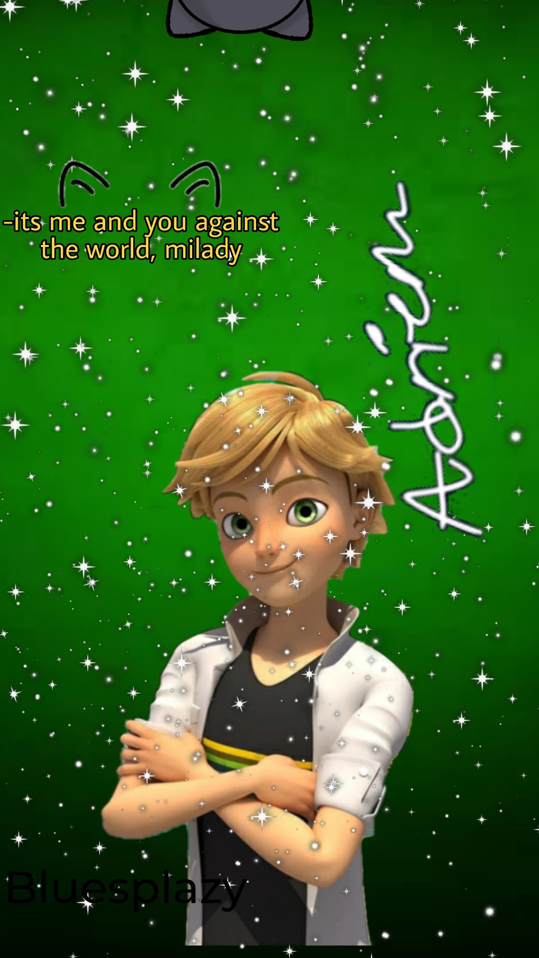 Adrien / Cat NoirEdit | Fandom