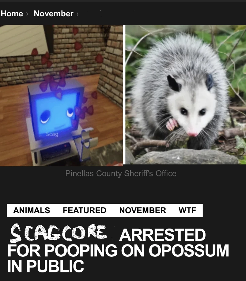 💔… i shouldnt have taken a poo on that opossum ….. | Fandom
