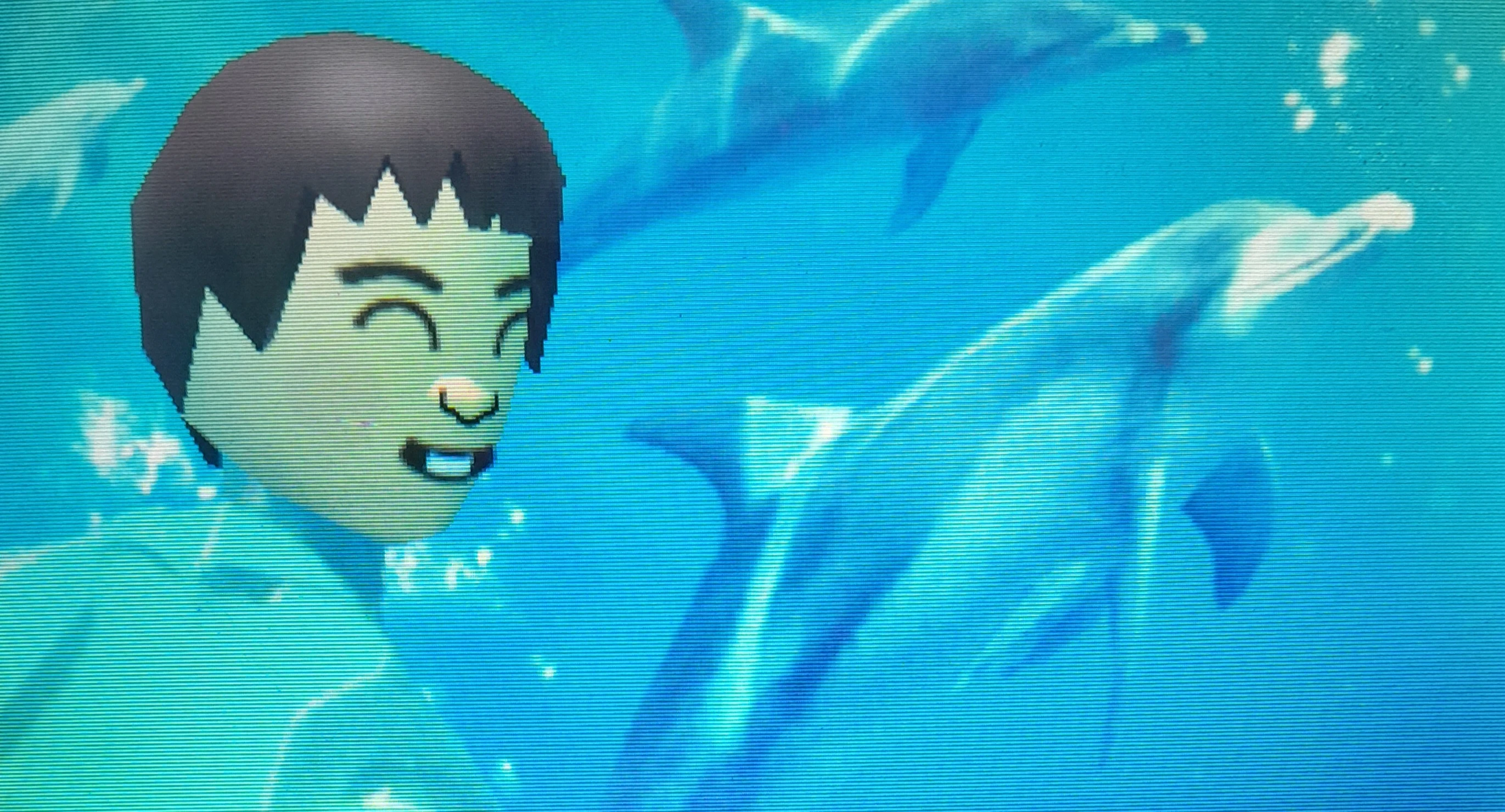 sho swimming with dolphins | Fandom