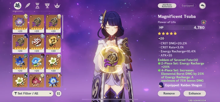 Rate my raiden build | Fandom