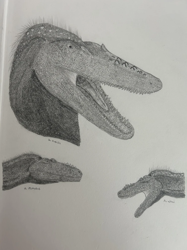 Discuss Everything About Dinopedia | Fandom