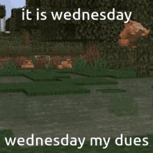 It is Wednesday. | Fandom