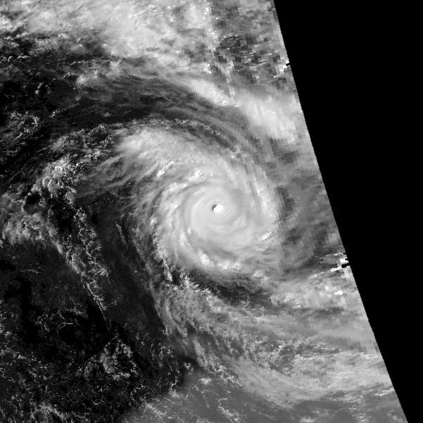 cyclone veena 1983 | Fandom