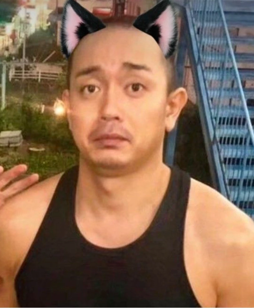 looking for ANY pala | Fandom