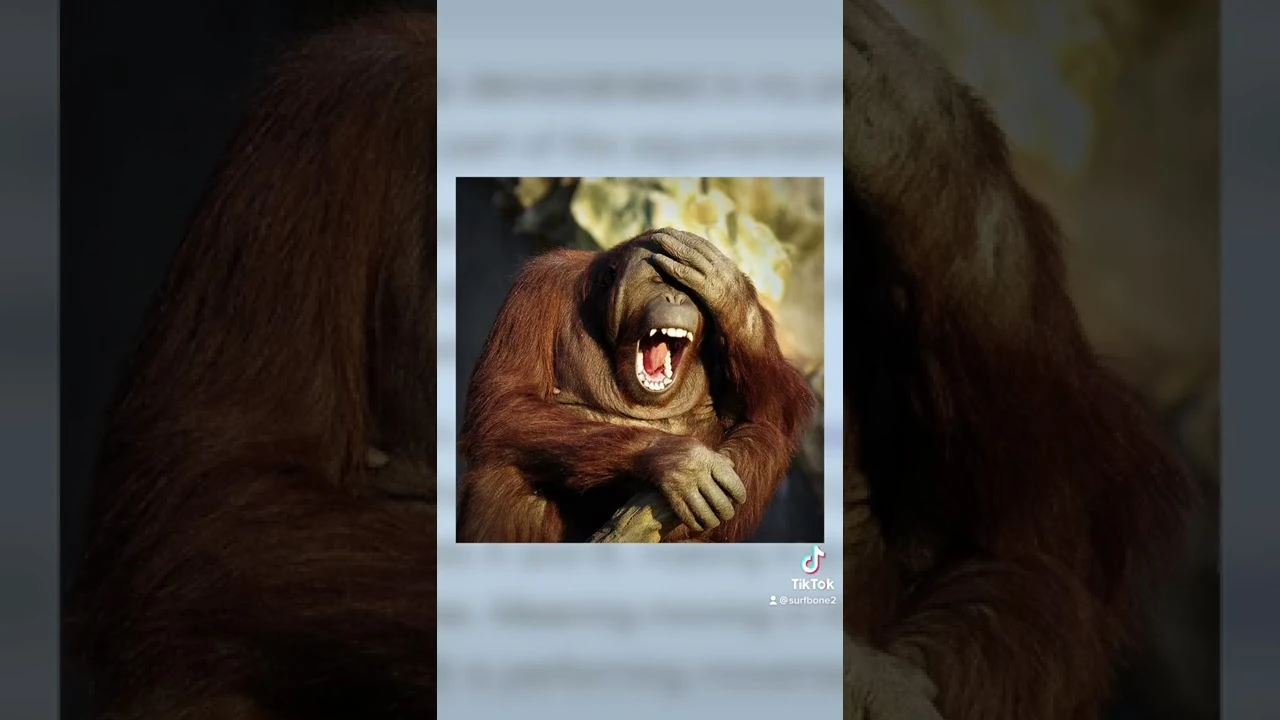 VS Battle Wiki ignores feats | Fandom