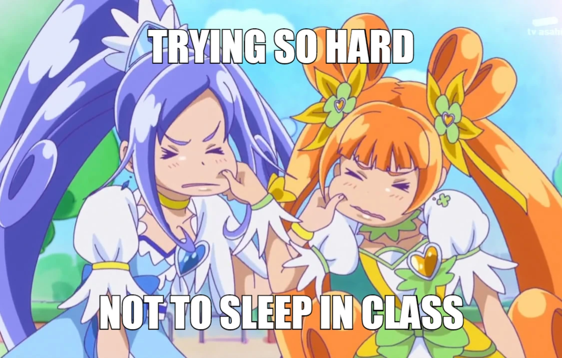 PreCure Memes #25 | Fandom