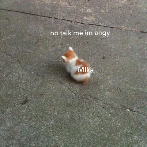 No talk me im angy | Fandom