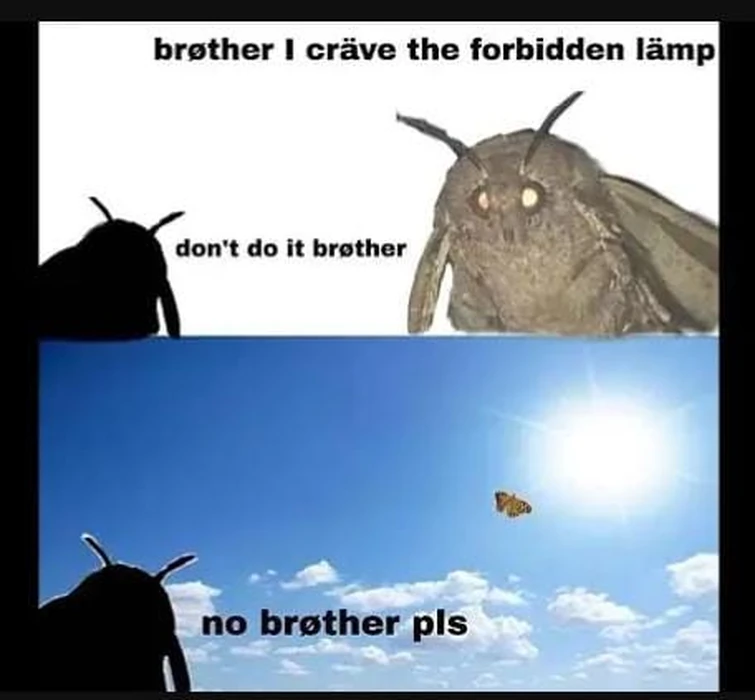 Trading/ selling | Fandom