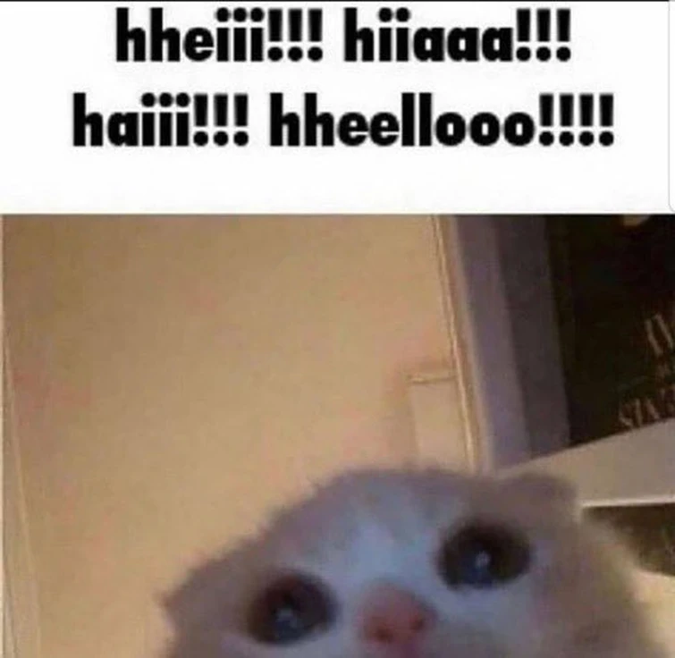 Hello Everynyan!!! | Fandom