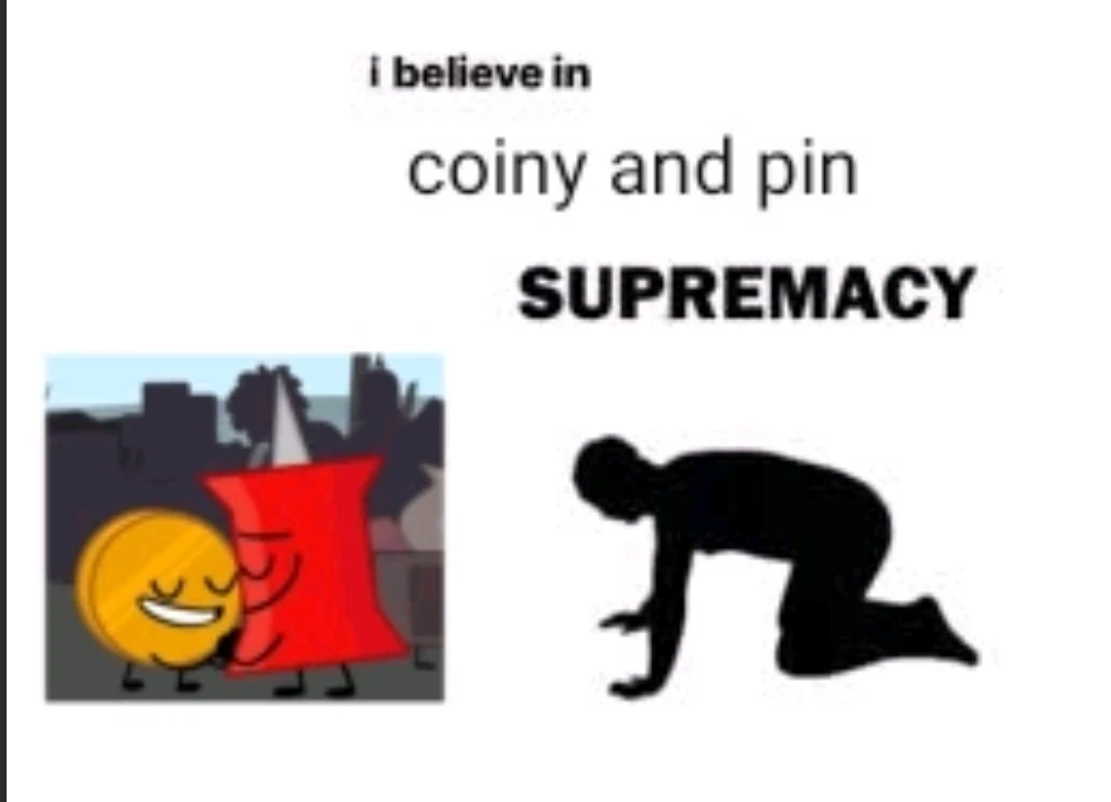 The user above believes in Coiny and Pin supermacy | Fandom