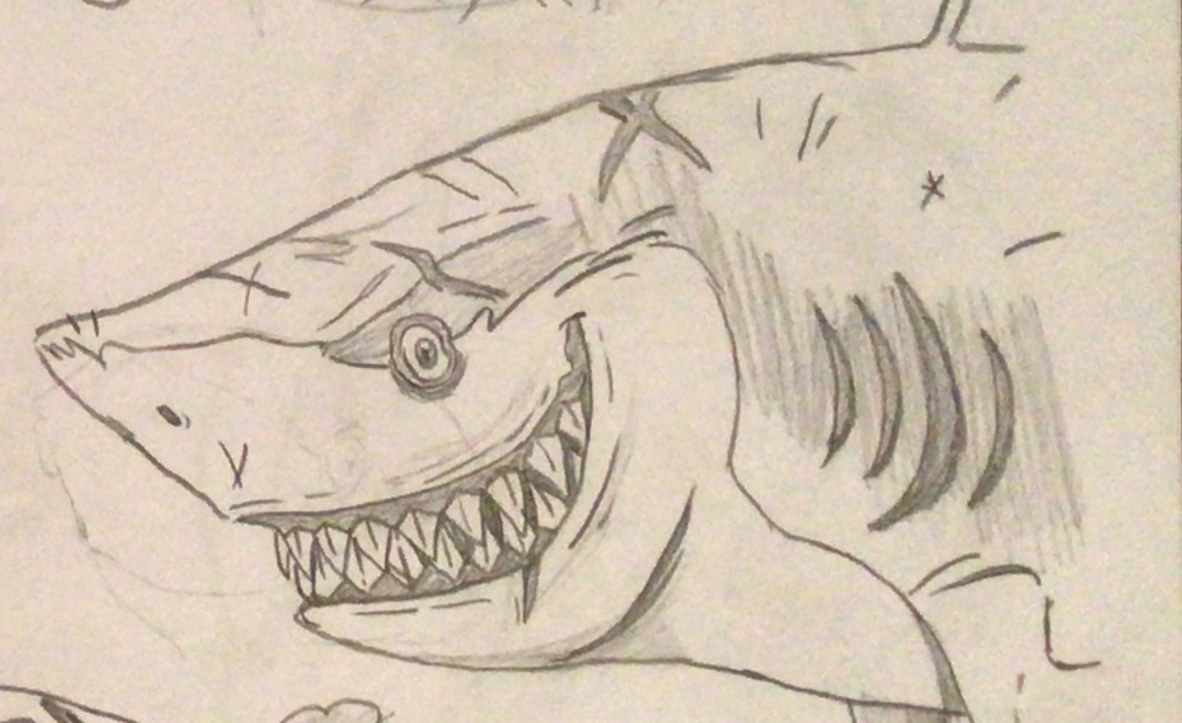 My great white shark drawings | Fandom
