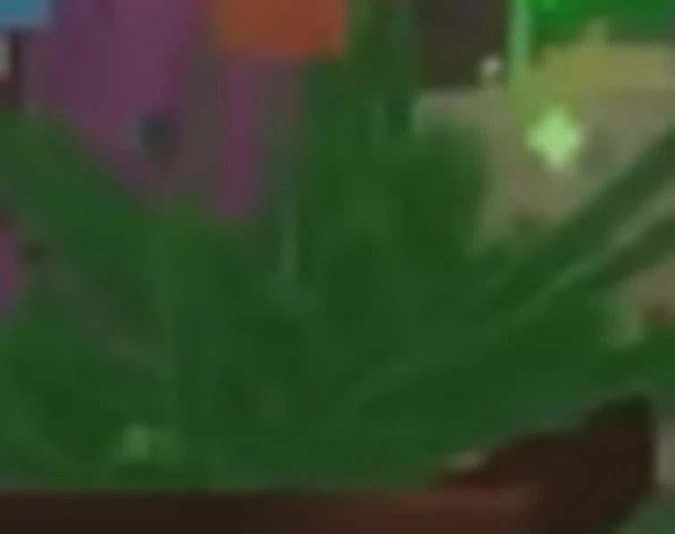 ADMIN SEEDS WITH PICTURES!!! | Fandom