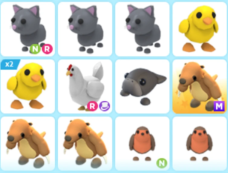 Trading: (LF 4 neon Koi and 4 Neon Trapdoor Snails) | Fandom