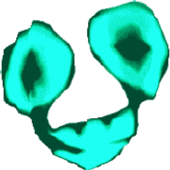 baby jumblobing real! /j | Fandom