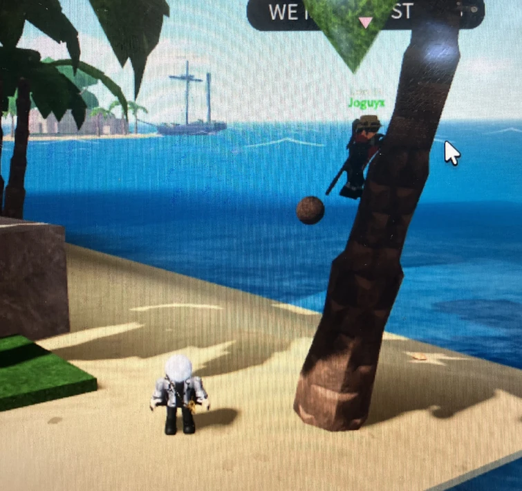 Flying coconut of wisdom, the fount of all virtue | Fandom