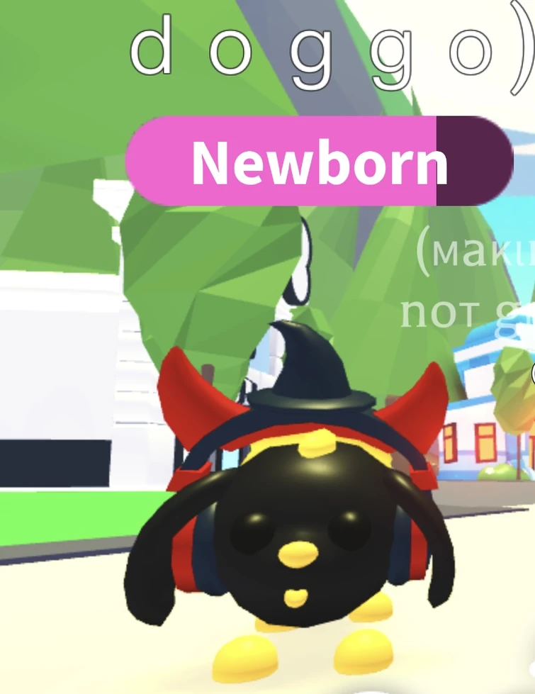 Discuss Everything About Adopt Me! Wiki | Fandom