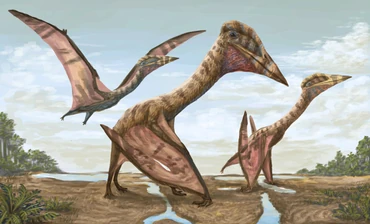 Dinopedia makes a Dinosaur Survuvak Game:Large Pterosaur | Fandom