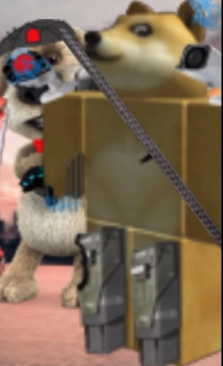 Discuss Everything About Boppity cat Wiki | Fandom